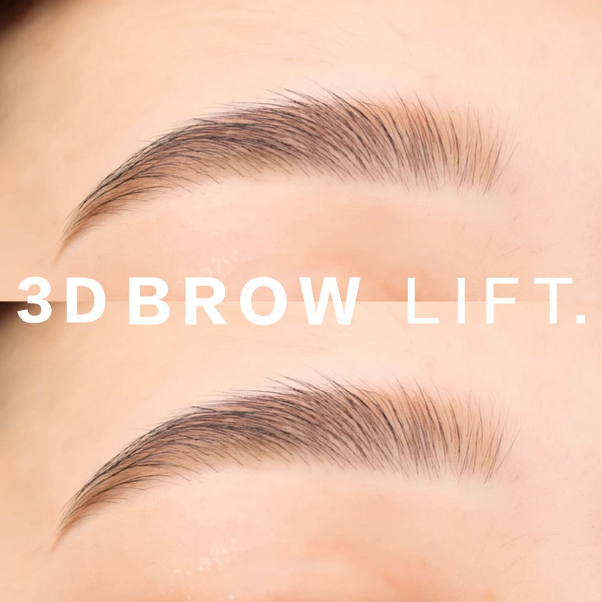 3D BROW LIFT - DAISY．BEAUTY ART
