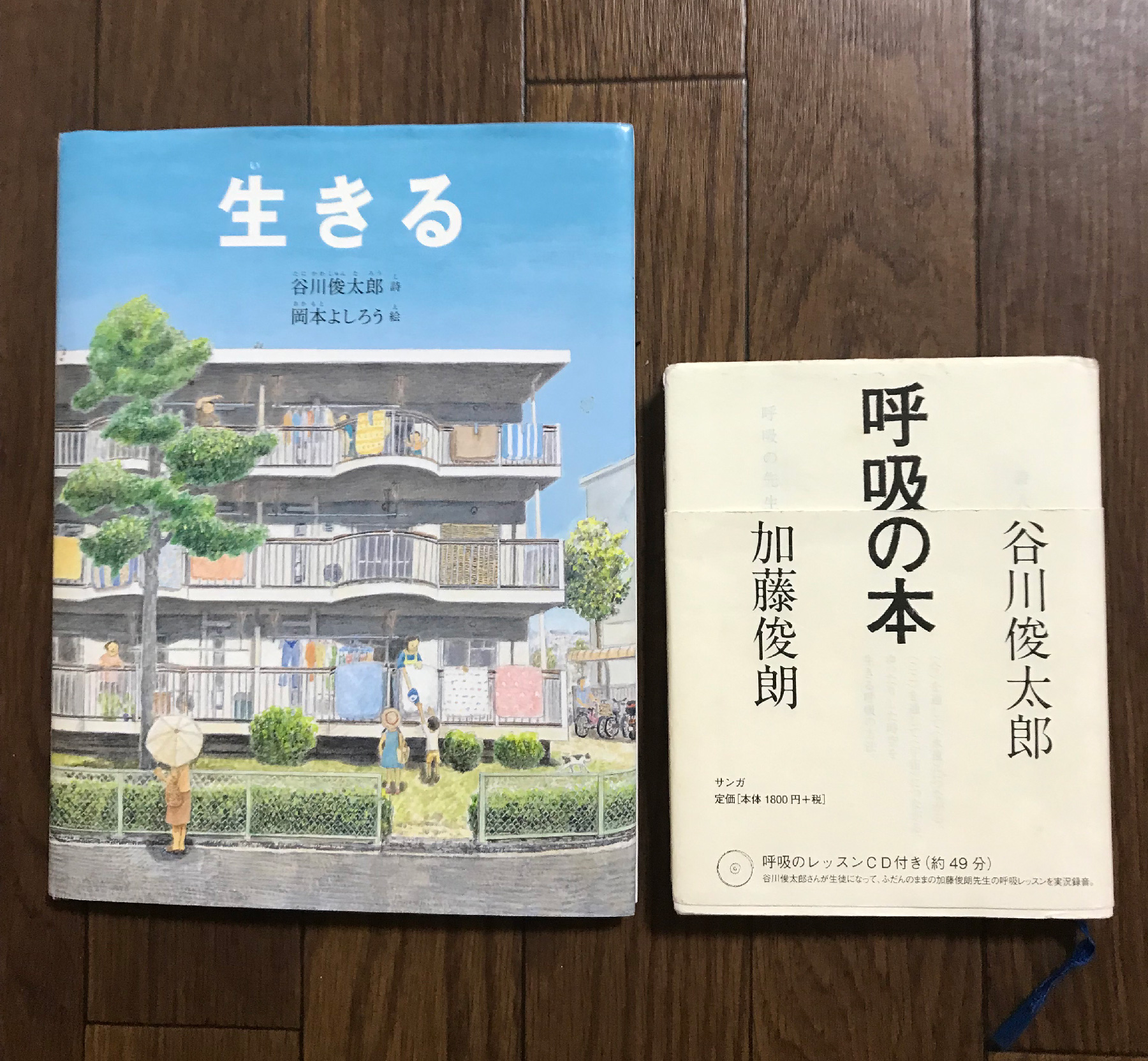 お知らせ > 2024-11 - 山梨のヨガ教室 surya-yogayona 〜 スーリヤ・ヨガヨナ