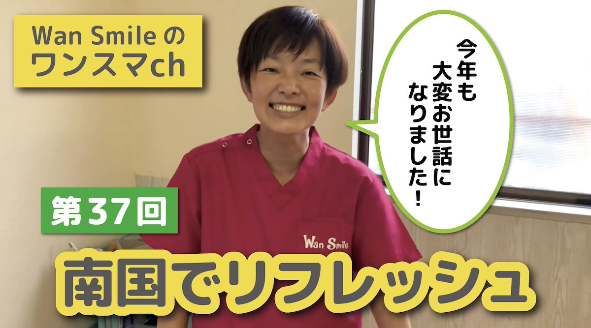 お知らせ - 長門市のトリミングサロンWan Smile〜ワンスマイル〜長門市・萩市・美祢市