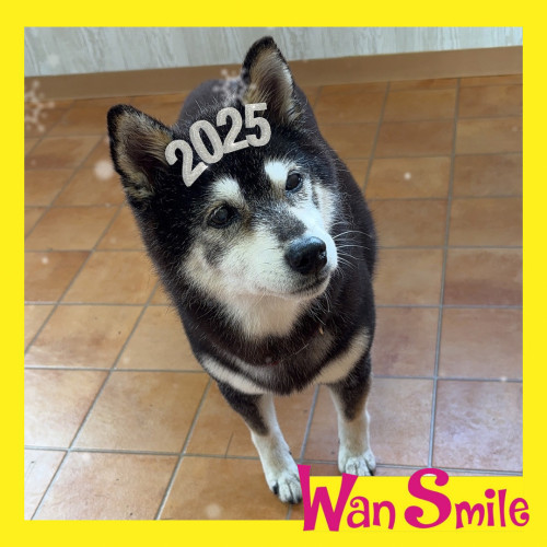 お知らせ - 長門市のトリミングサロンWan Smile〜ワンスマイル〜長門市・萩市・美祢市