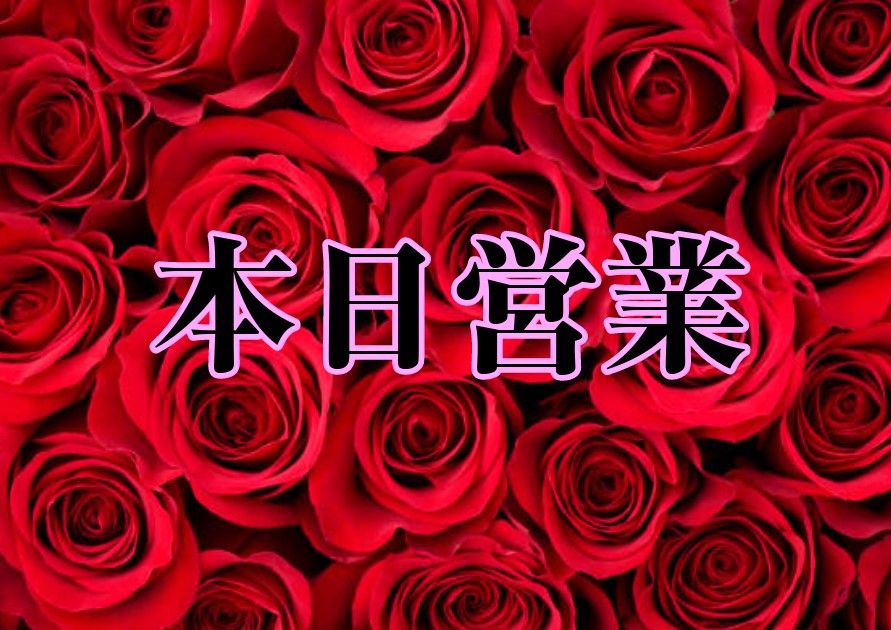 臨時営業のお知らせ - ROCK BAR Rose