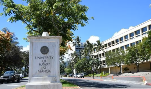 お知らせ > 2024-02 - ニューウエイズ英語教育