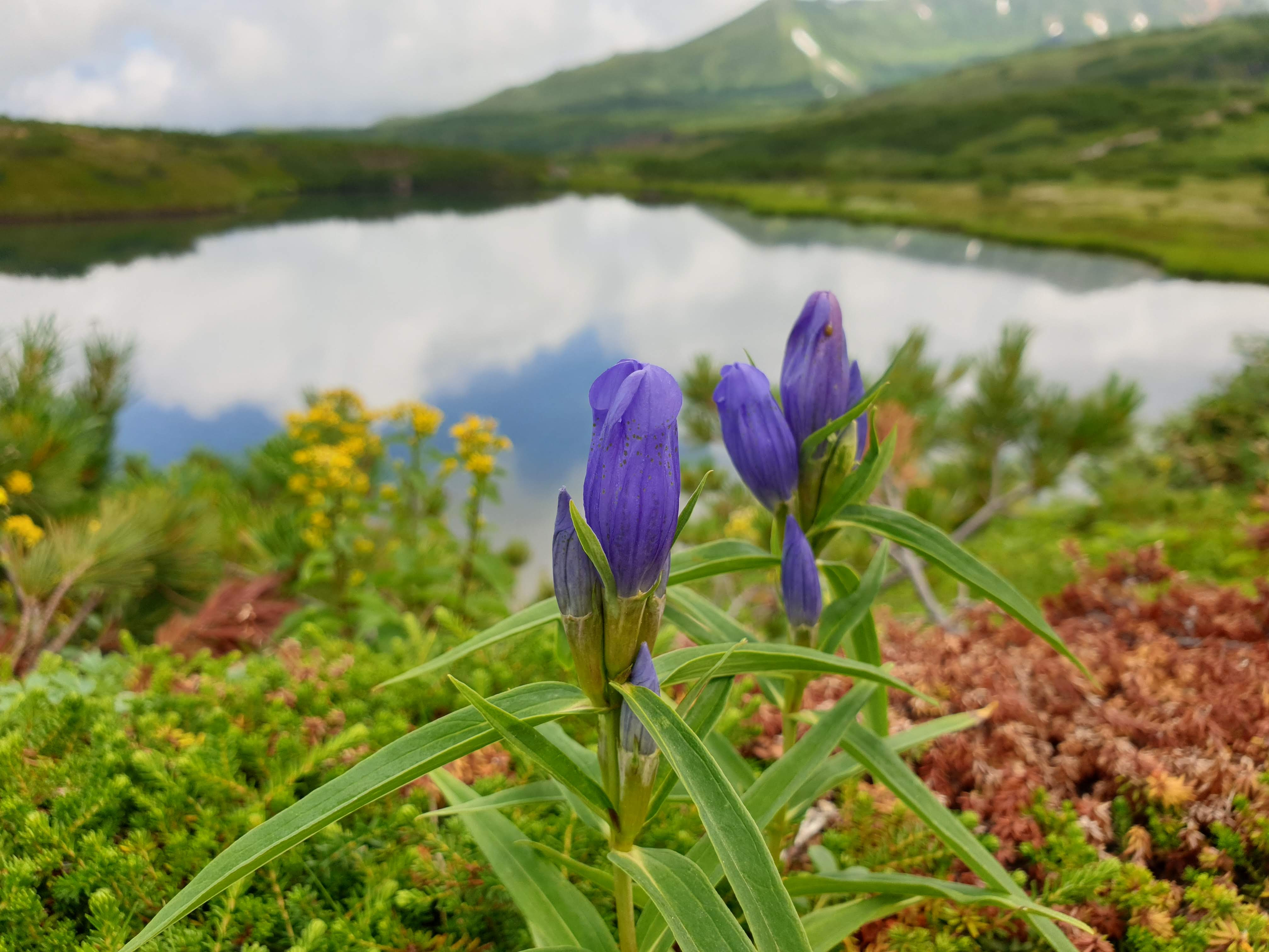 高山散策 Alpine Area Walking - Guide Office Tail Wind