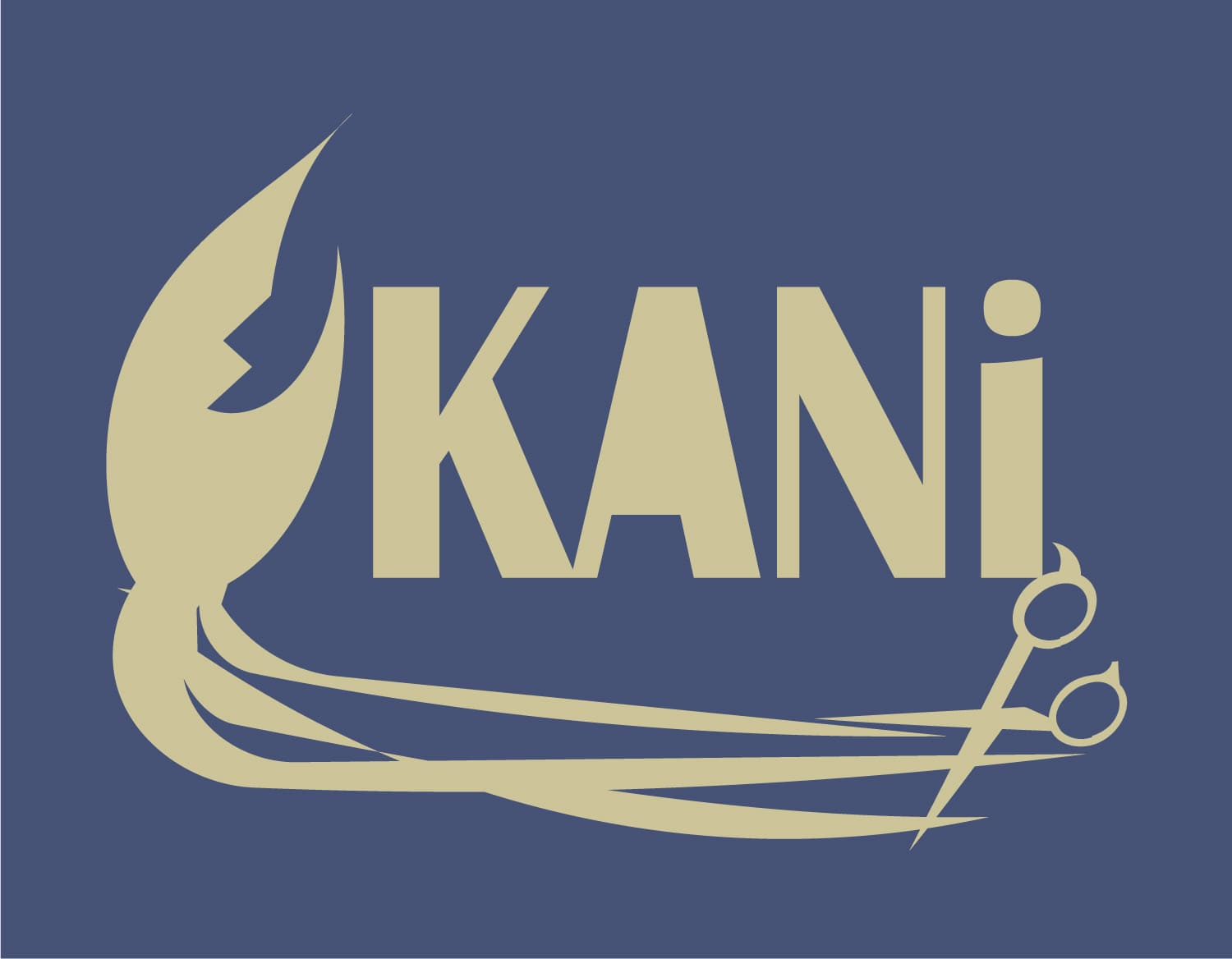 KANi【カーニ】～毎日のヘアをデザインする～