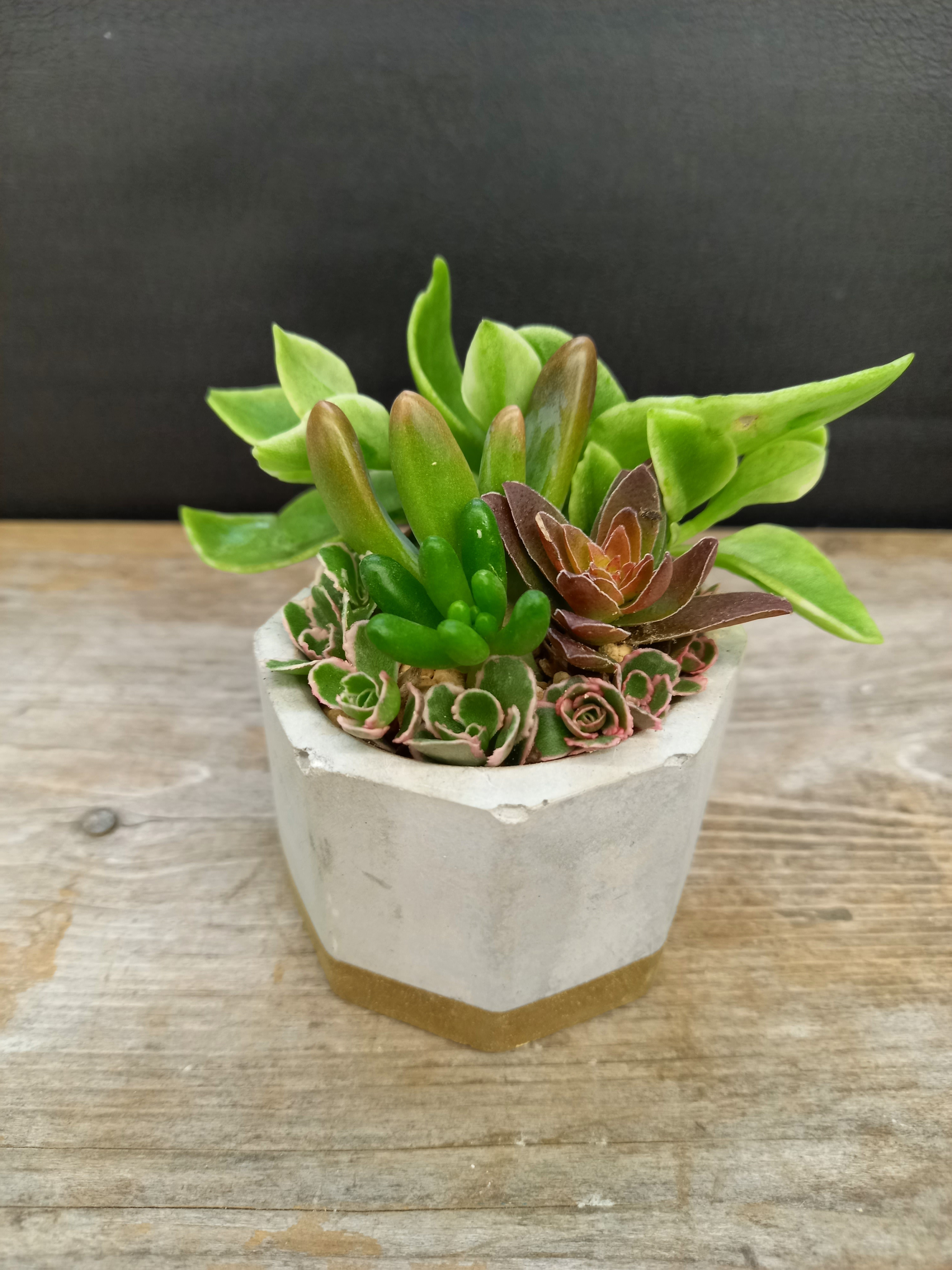 日記 > page 9 - リハスタイル リハスタイルぐんぐん 3BASE 3BASE幡多スタジオ 株式会社 ジラソルケア