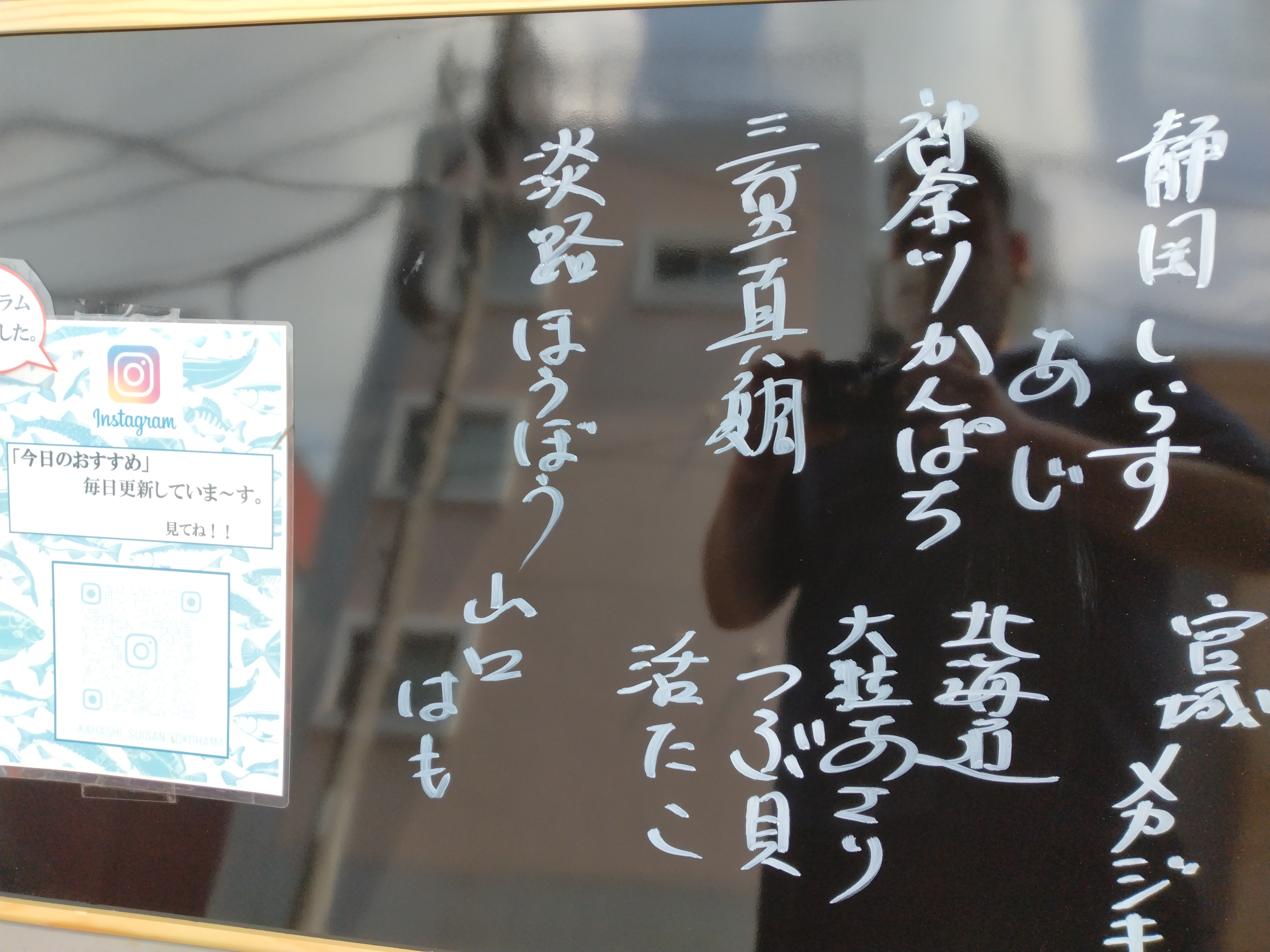 6月20日 - 高橋水産 三崎まぐろ