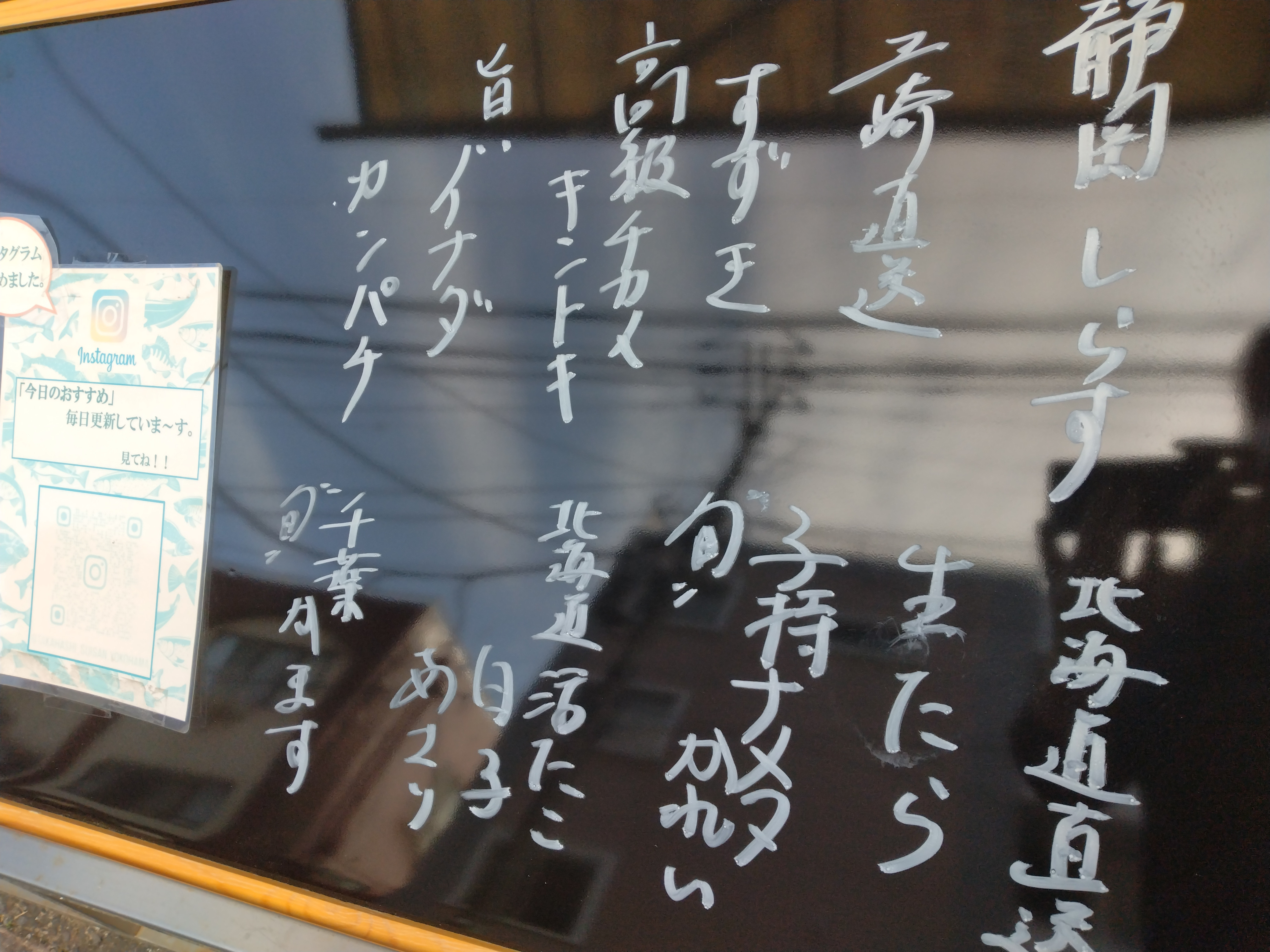 11月27日 - 高橋水産 三崎まぐろ