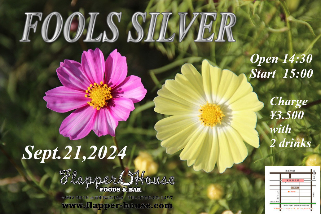 Flapper House - Fools Silver ＜サザンロック・カントリーロック＞